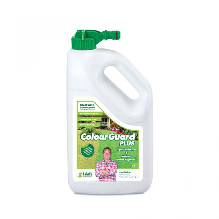 Canberra Blend Lawn Seed Per Kg – Highland Sand & Gravel